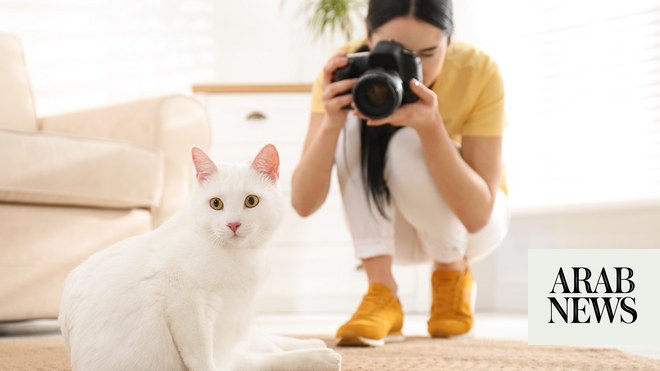 Become a shutterbug in self-isolation with these expert photography tips | Arab News