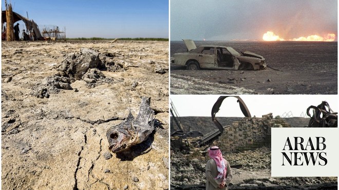 Why ecosystem restoration should be high on Arab region’s agenda | Arab ...