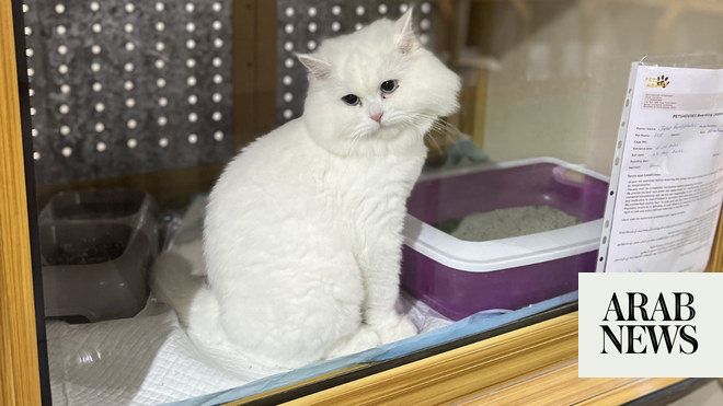 Pet Houses in Eastern Province keeps your animal friends safe for you ...