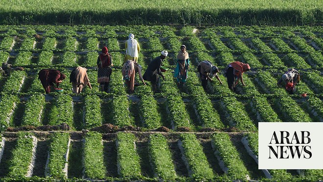 Pakistan seeks $6bn for corporate farming from Saudi Arabia, other Gulf ...
