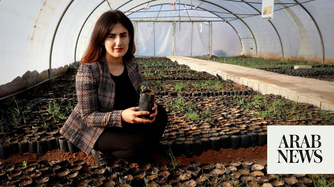 Oak trees take root in Iraqi Kurdistan to help climate | Arab News