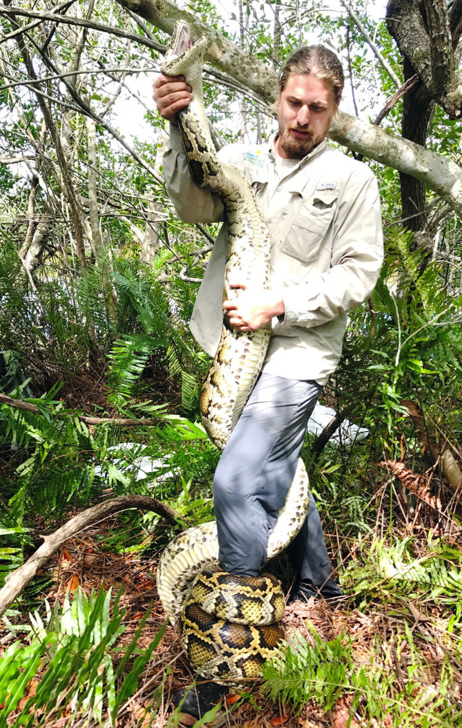 Florida team hauls in 18-foot, 215-pound Burmese python | Arab News