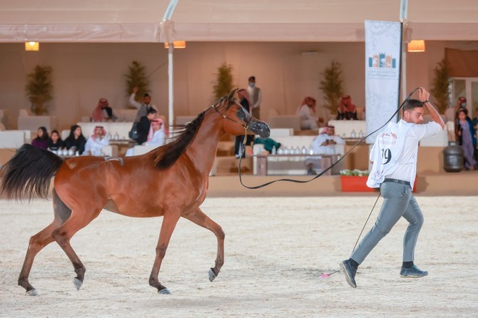 Riyadh’s Arabian Horse Festival kicks off with top breeders | Arab News