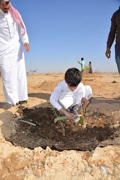 Saudi Arabia determined to protect, preserve its vegetation cover ...