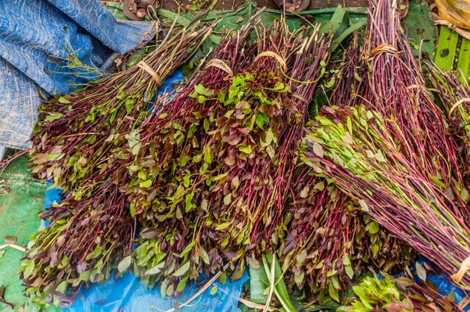 Saudi border guards thwart qat smuggling operation | Arab News