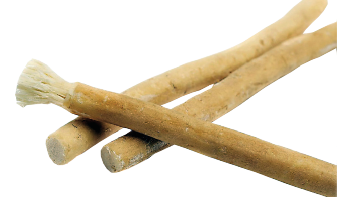 Keep your smile bright during Ramadan with the magic of miswak | Arab News