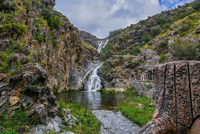 Environment Week highlights KSA’s role in green era | Arab News