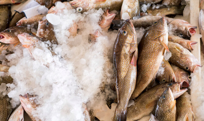 Reeling it in: Inside Saudi Arabia’s biggest fish market | Arab News