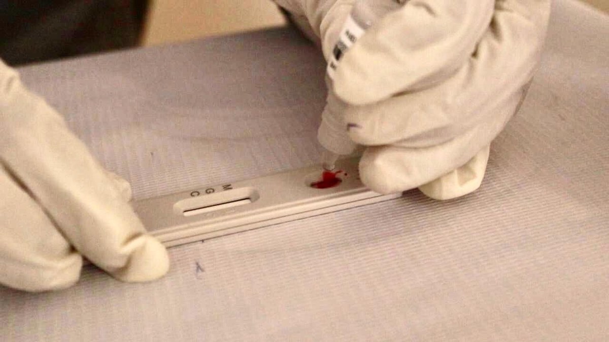 Pakistani telehealth startup’s $12 coronavirus test delivers results in ...