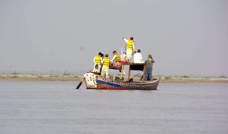 Pakistan wildlife survey shows 'Indus Queen' dolphins flourishing ...