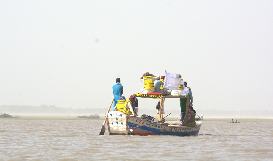 Pakistan wildlife survey shows 'Indus Queen' dolphins flourishing ...
